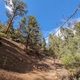 Chamisa Trail, New Mexico - 1,174 Reviews, Map | AllTrails