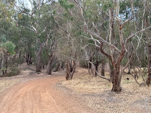 Best Hikes and Trails in Greenmount National Park | AllTrails