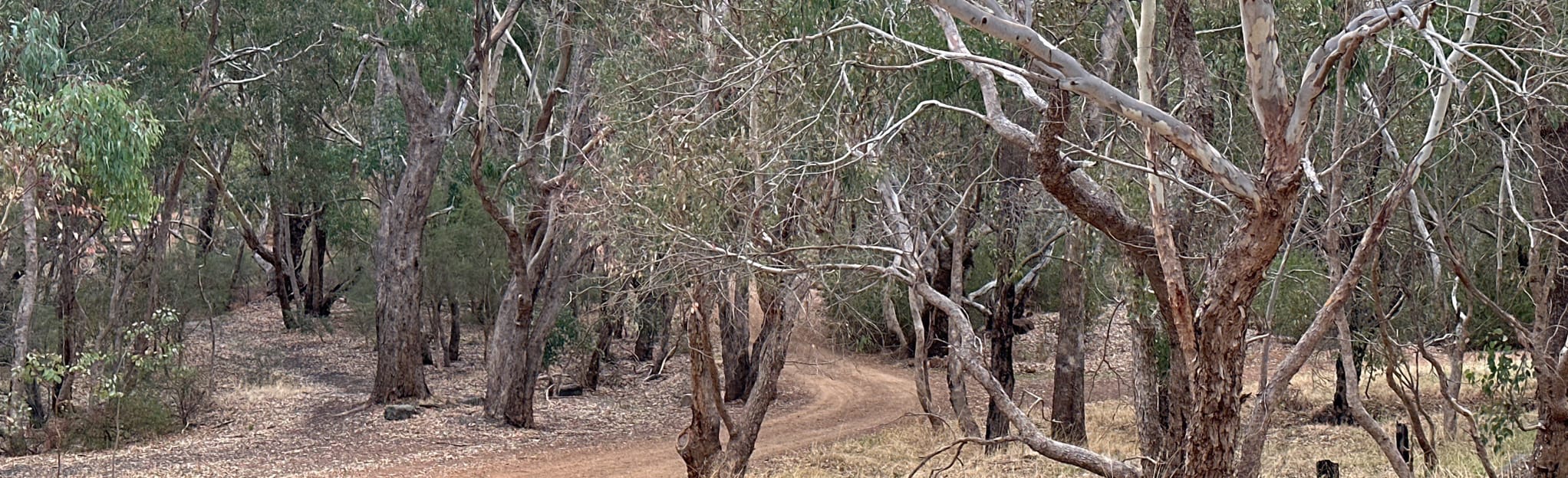 Boya Mountain Quarry: 26 Reviews, Map - Western Australia, Australia ...