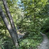 Mount Tammany and Sunfish Pond Loop, New Jersey - 986 Reviews, Map ...