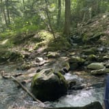 Mount Tammany and Sunfish Pond Loop, New Jersey - 986 Reviews, Map ...