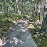Mount Tammany and Sunfish Pond Loop, New Jersey - 986 Reviews, Map ...