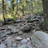 Mount Herman Trail, Colorado - 1,653 Reviews, Map | AllTrails
