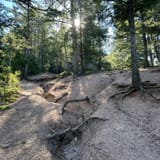 Mount Herman Trail, Colorado - 1,653 Reviews, Map | AllTrails