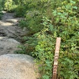 Mount Herman Trail, Colorado - 1,653 Reviews, Map | AllTrails