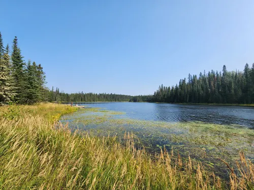 Best Hikes and Trails in Lesser Slave Lake Provincial Park | AllTrails