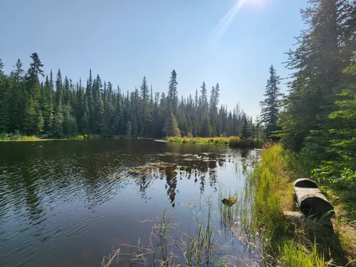 Best Hikes and Trails in Lesser Slave Lake Provincial Park | AllTrails