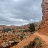Navajo Loop Trail, Utah - 3,659 Reviews, Map | AllTrails
