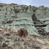 Blue Basin Overlook Loop, Oregon - 443 Reviews, Map | AllTrails