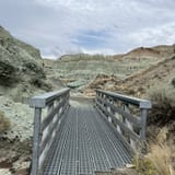 Blue Basin Overlook Loop, Oregon - 443 Reviews, Map | AllTrails