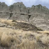 Blue Basin Overlook Loop, Oregon - 443 Reviews, Map | AllTrails