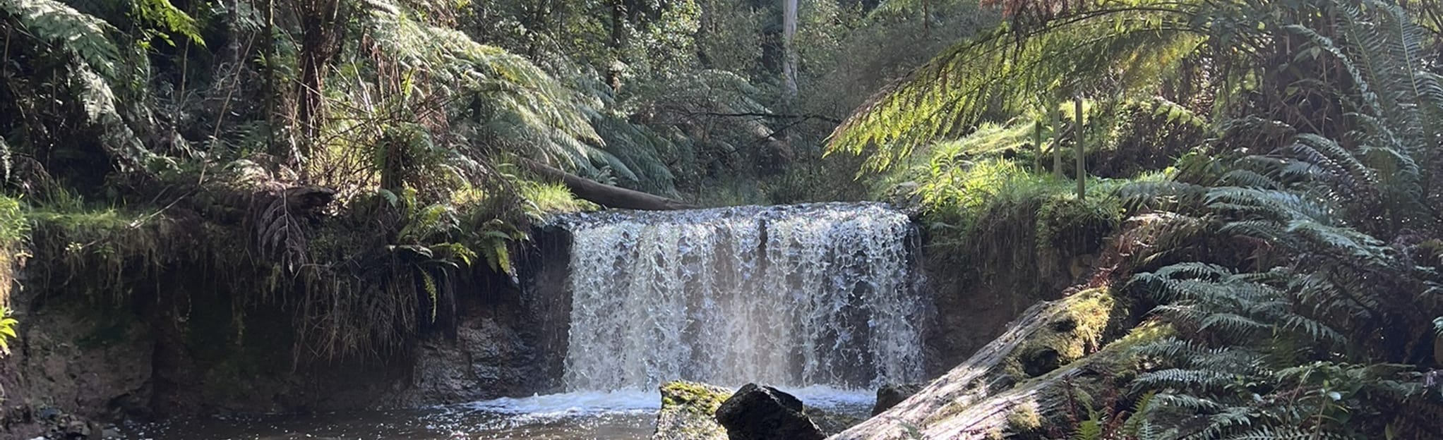 Erica Weir Loop, Victoria, Australia - 11 Reviews, Map | AllTrails