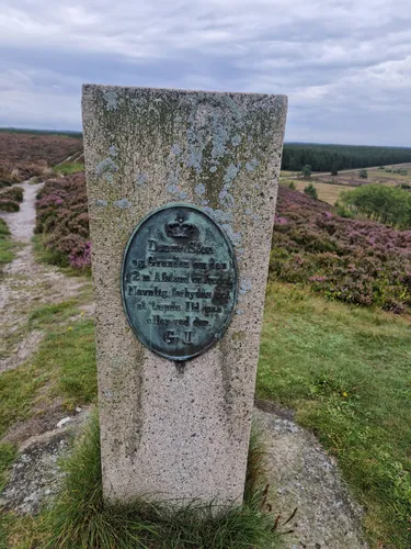 Best Walking Trails in Ejstrupholm | AllTrails