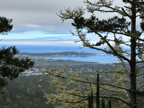 2023 Best 10 Trails and Hikes in Monterey | AllTrails