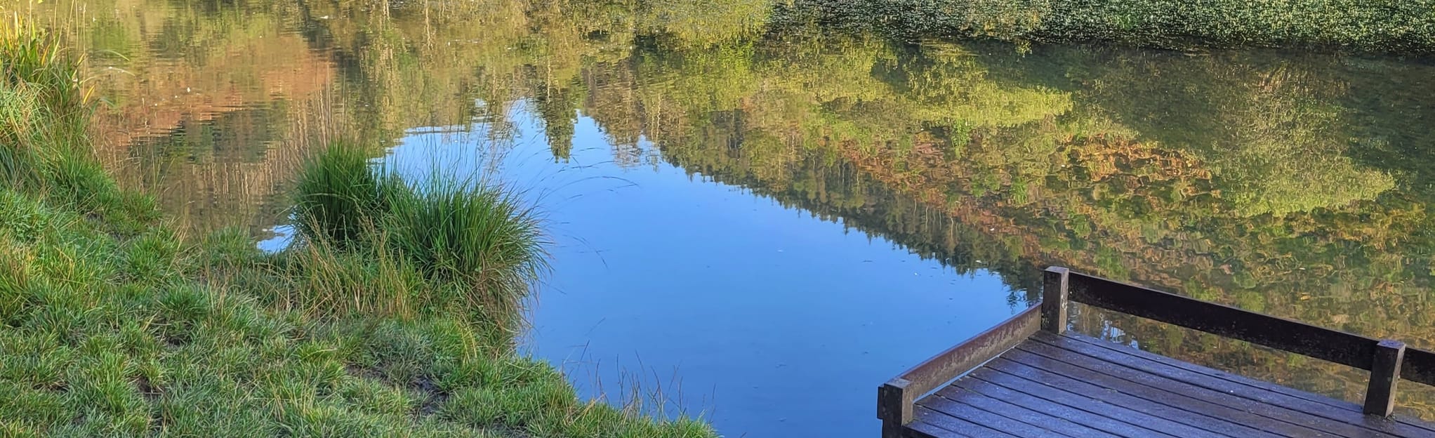 The Clydach Lakes: 54 Reviews, Map - Rhondda, Wales | AllTrails