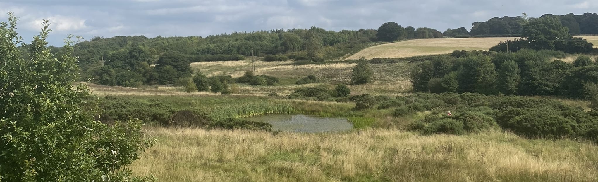 Waldridge and Daisy Hill Local Nature Reserve: 28 Reviews, Map - County ...