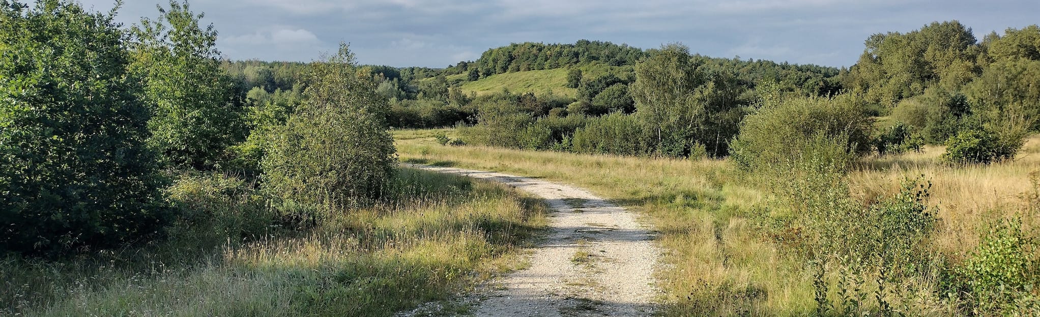 River Poulter and Bevercotes Pit Wood: 48 foto's - Nottinghamshire ...