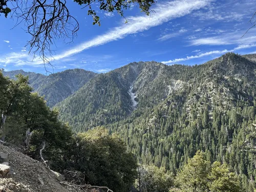 2023 Best 10 Trails and Hikes in Forest Falls | AllTrails
