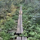 Liberty Loop Trail, New York - 416 Reviews, Map | AllTrails