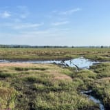 Liberty Loop Trail, New York - 416 Reviews, Map | AllTrails