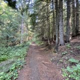 Mount Kit Carson Trail, Washington - 885 Reviews, Map | AllTrails