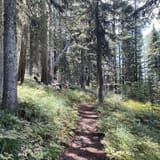Mount Kit Carson Trail, Washington - 882 Reviews, Map | AllTrails
