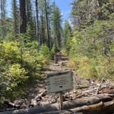 Mount Kit Carson Trail, Washington - 882 Reviews, Map | AllTrails