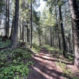 Mount Kit Carson Trail, Washington - 902 Reviews, Map | AllTrails
