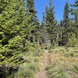 Mount Kit Carson Trail, Washington - 902 Reviews, Map | AllTrails