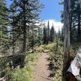 Mount Kit Carson Trail, Washington - 902 Reviews, Map | AllTrails