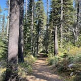 Mount Kit Carson Trail, Washington - 902 Reviews, Map | AllTrails
