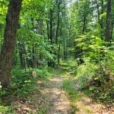 Mountain Tea State Forest Cabin and Pond, Indiana - 189 Reviews, Map ...