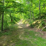 Mountain Tea State Forest Cabin and Pond, Indiana - 182 Reviews, Map ...