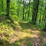 Mountain Tea State Forest Cabin and Pond, Indiana - 189 Reviews, Map ...