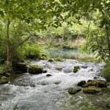 Alley Spring Overlook Trail, Missouri - 318 Reviews, Map | AllTrails