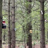 Puslinch Lake Loop, Ontario, Canada - 684 Reviews, Map | AllTrails