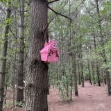 Puslinch Lake Loop, Ontario, Canada - 684 Reviews, Map | AllTrails