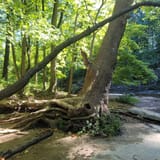 Viaduct Park, Ohio - 473 Reviews, Map | AllTrails