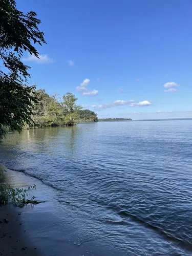 Best Hikes and Trails in Sassafrass Natural Resource Management Area ...