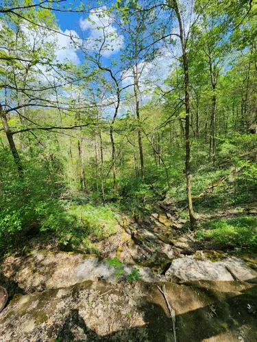 Best Hikes and Trails in Raven Run Park | AllTrails