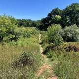 Gander Mountain Loop Trail, Illinois - 514 Reviews, Map | AllTrails
