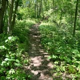 Gander Mountain Loop Trail, Illinois - 467 Reviews, Map | AllTrails