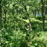 Gander Mountain Loop Trail, Illinois - 467 Reviews, Map | AllTrails