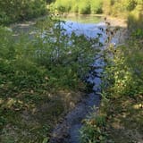 Gander Mountain Loop Trail, Illinois - 467 Reviews, Map | AllTrails