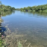 Gander Mountain Loop Trail, Illinois - 467 Reviews, Map | AllTrails