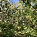 Gander Mountain Loop Trail, Illinois - 467 Reviews, Map | AllTrails