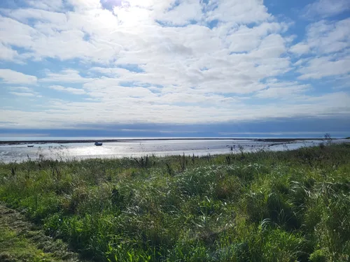 2023 Best Trails, Walks, and Paths in Amble | AllTrails