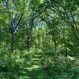 Gander Mountain Loop Trail, Illinois - 514 Reviews, Map | AllTrails