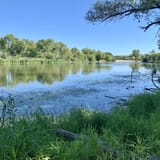 Gander Mountain Loop Trail, Illinois - 514 Reviews, Map | AllTrails