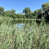Gander Mountain Loop Trail, Illinois - 514 Reviews, Map | AllTrails